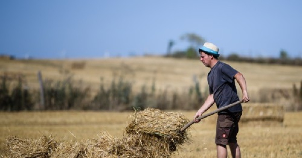 (FILE) GERMANY AGRICULTURE