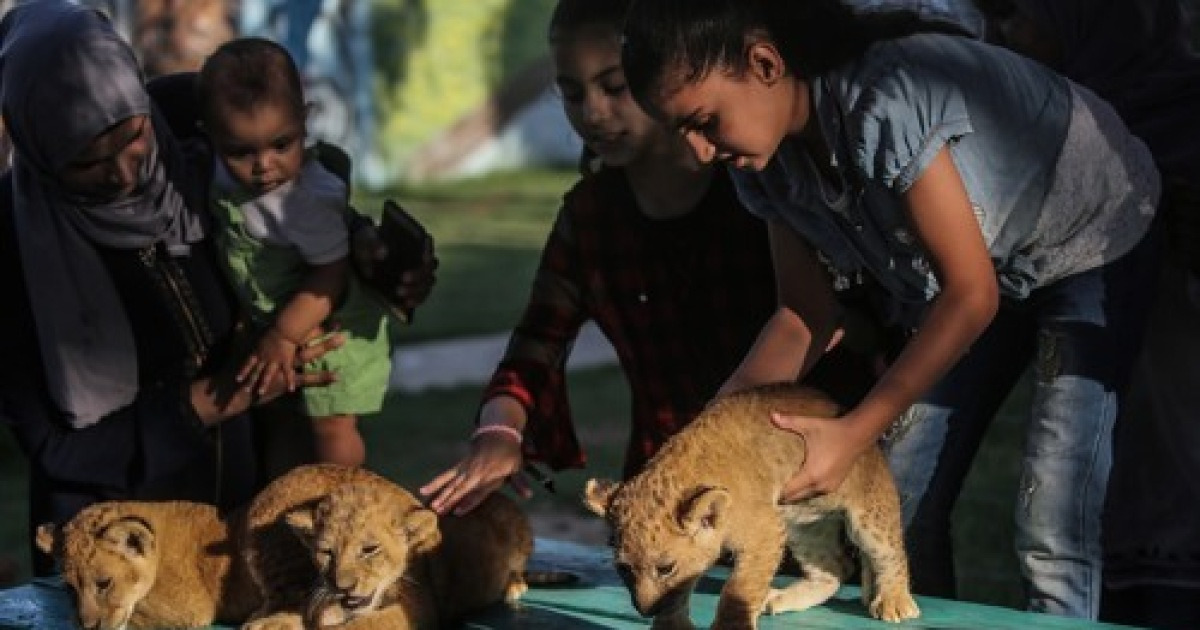 MIDEAST ISRAEL PALESTINIANS