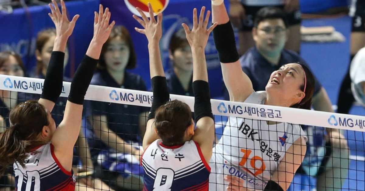 KGC인삼공사·흥국생명, 배구 컵대회 준결승행(종합)