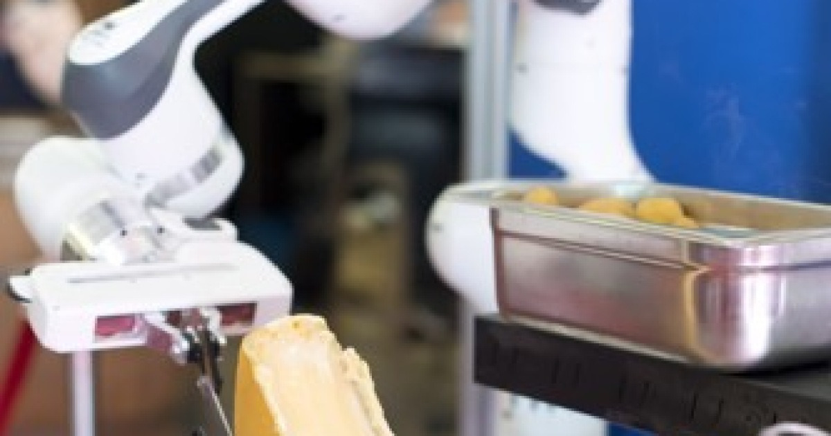 SWITZERLAND ROBOT RACLETTE CHEESE