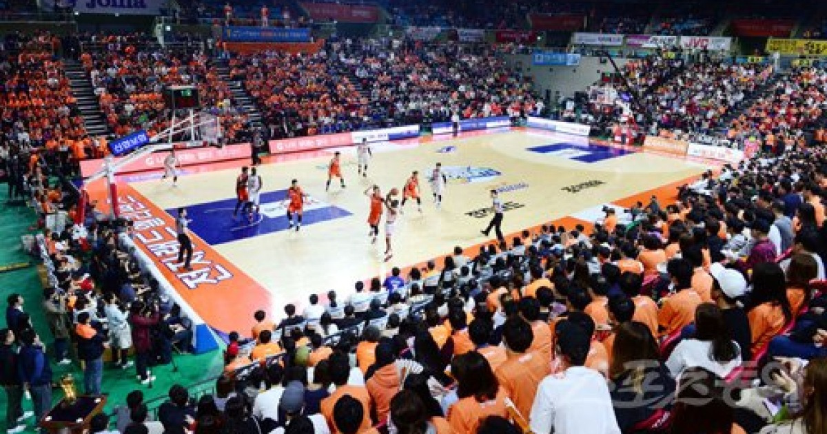 긍정 신호의 KBL과 WKBL, 반등에 성공할까