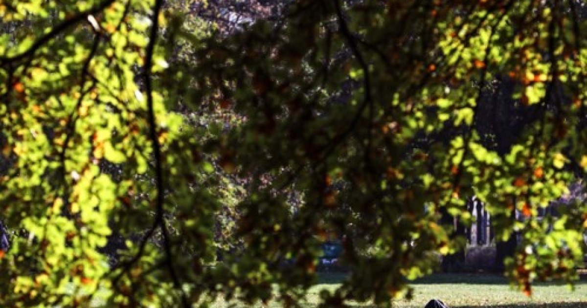 GERMANY BERLIN WEATHER