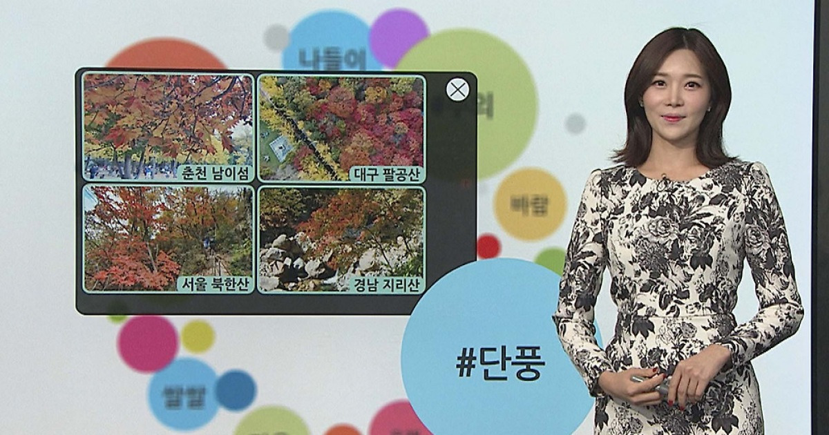 [날씨트리] 밤사이 기온 뚝↓ 주말 올 가을 가장 쌀쌀