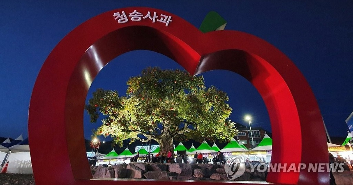 청송군 사과축제 포토존 