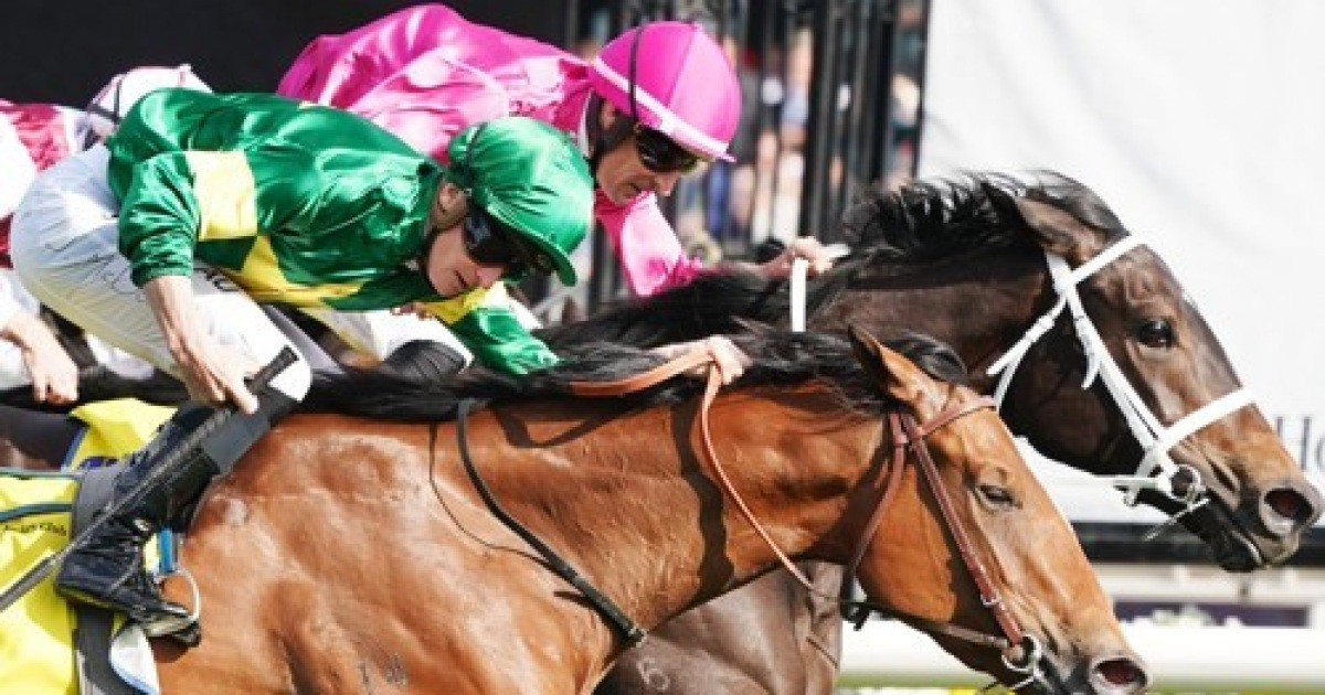 AUSTRALIA HORSE RACING MELBOURNE CUP