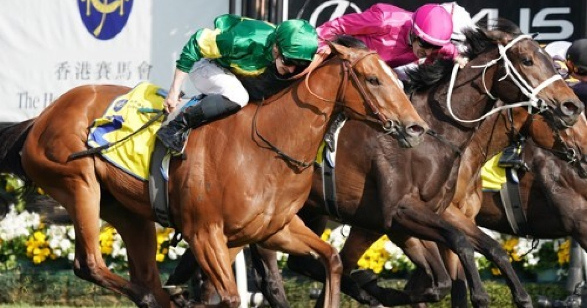 AUSTRALIA HORSE RACING MELBOURNE CUP