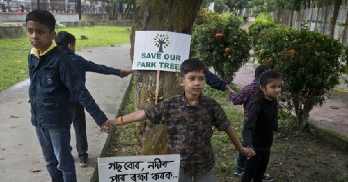 India Tree Protest