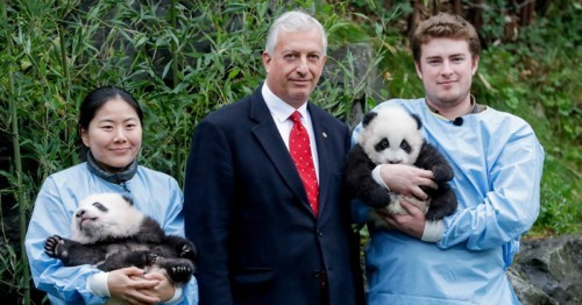 BELGIUM PANDAS PRESENTATION