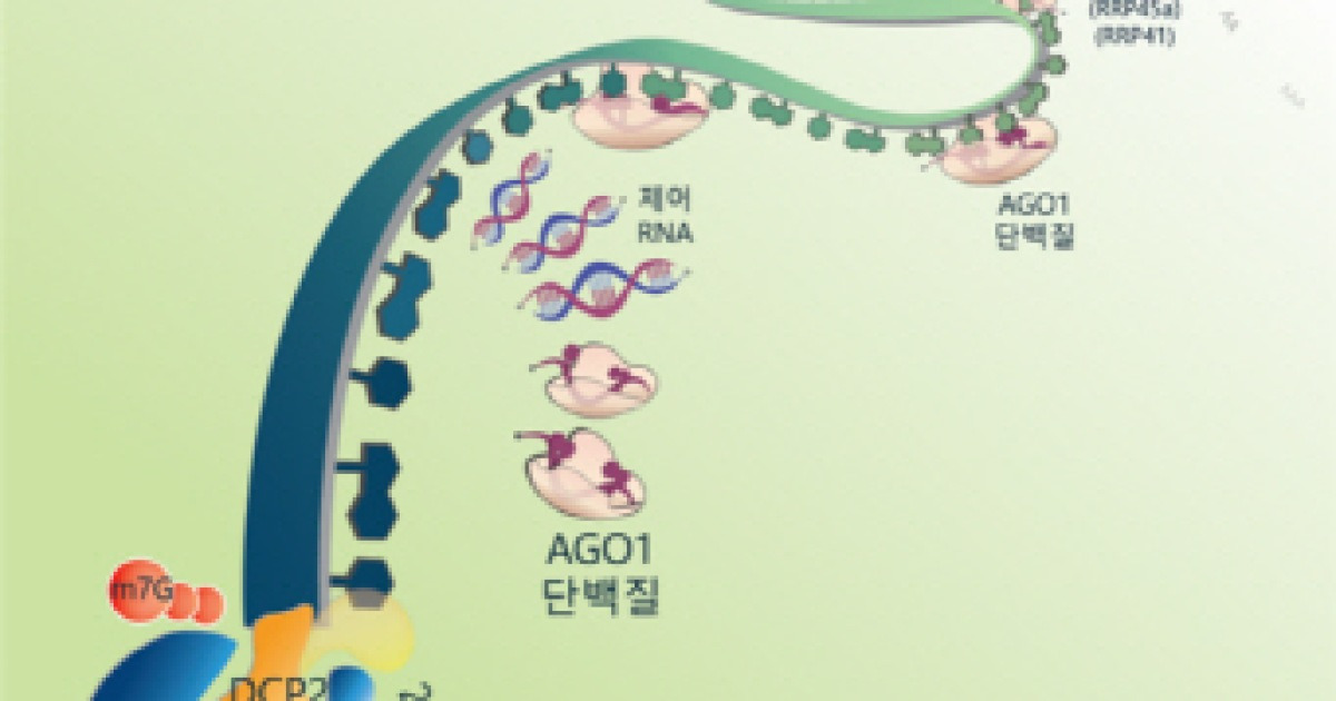 DGIST-IBS, 생명현상 근원 '유전자 발현 원리' 규명
