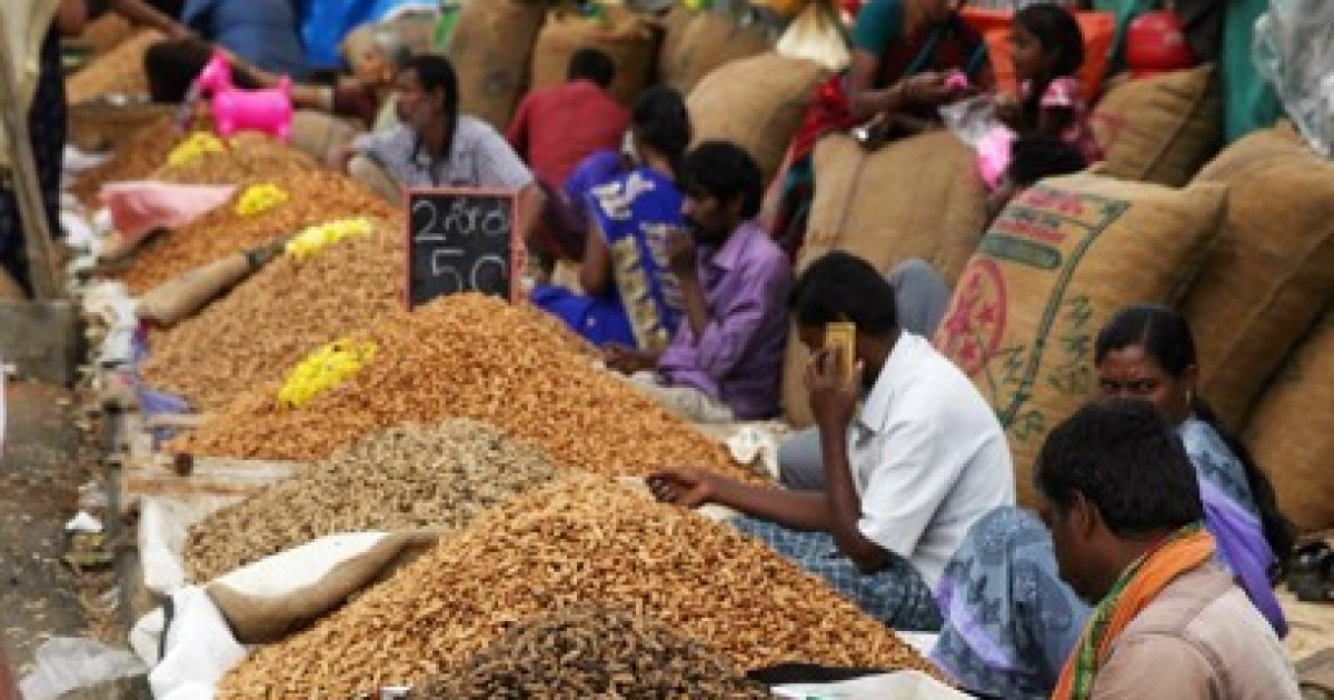 INDIA ECONOMY AGRICULTURE CUSTOMS AND TRADITIONS