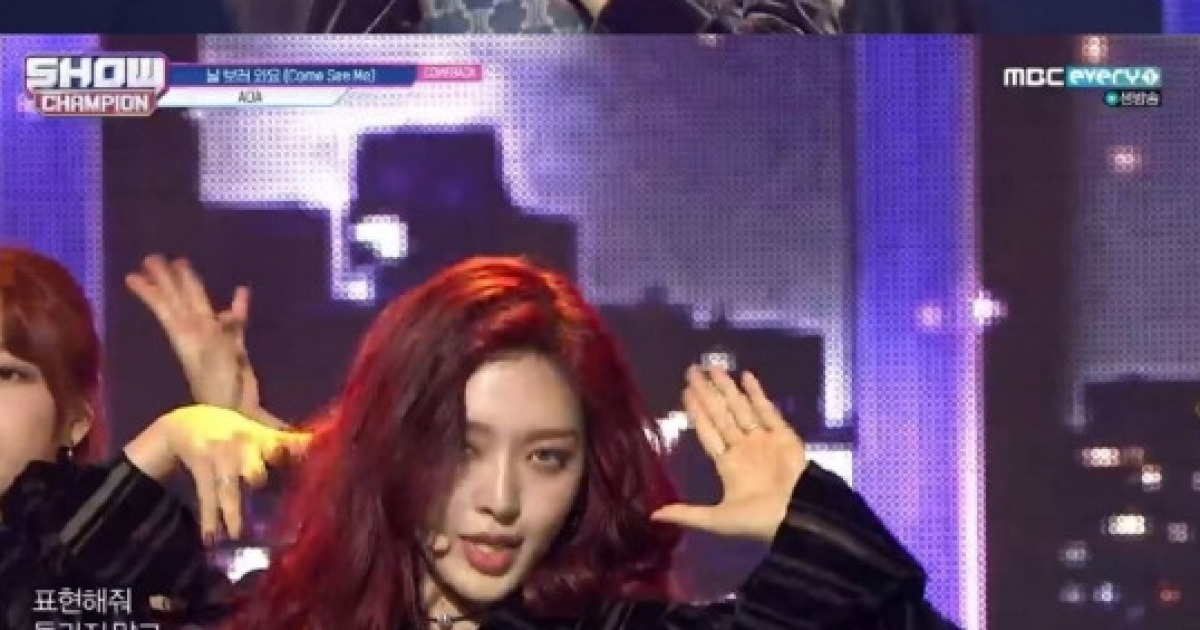 '쇼챔' 마마무, 출연 없이 'HIP'으로 1위 4관왕..AOA 컴백[★밤TView]