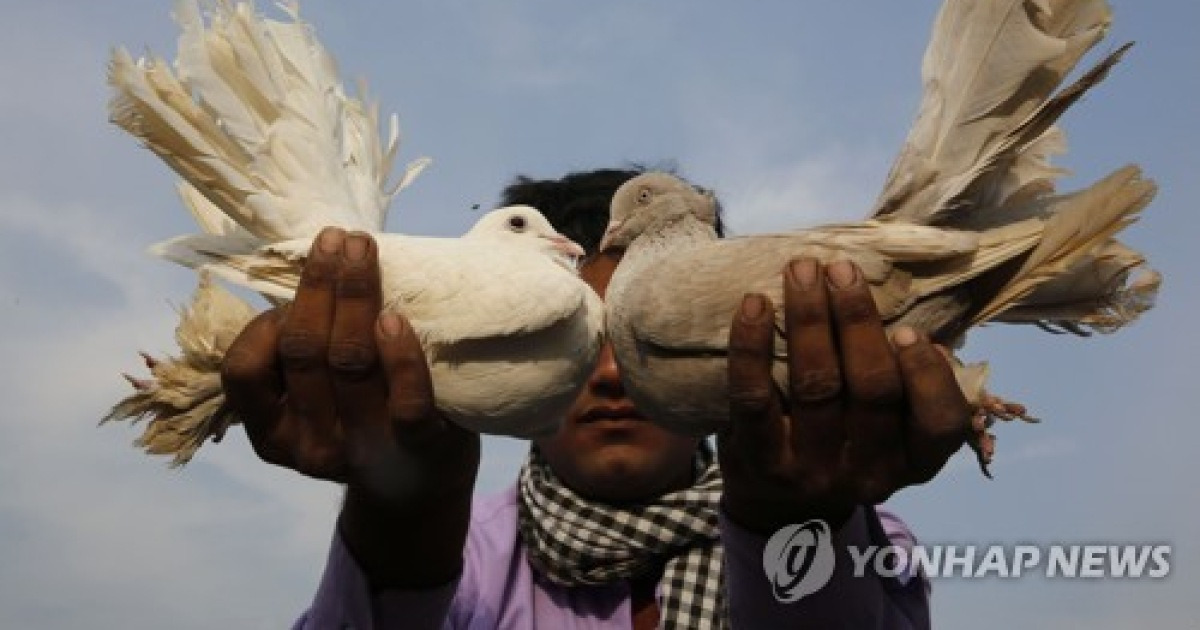 India Parrot Fair