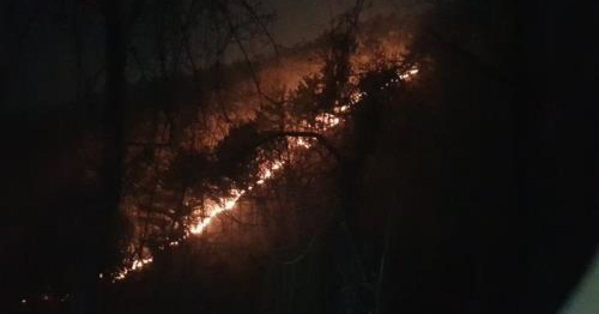 Gangwon fire almost contained after burning 2 ha of forest