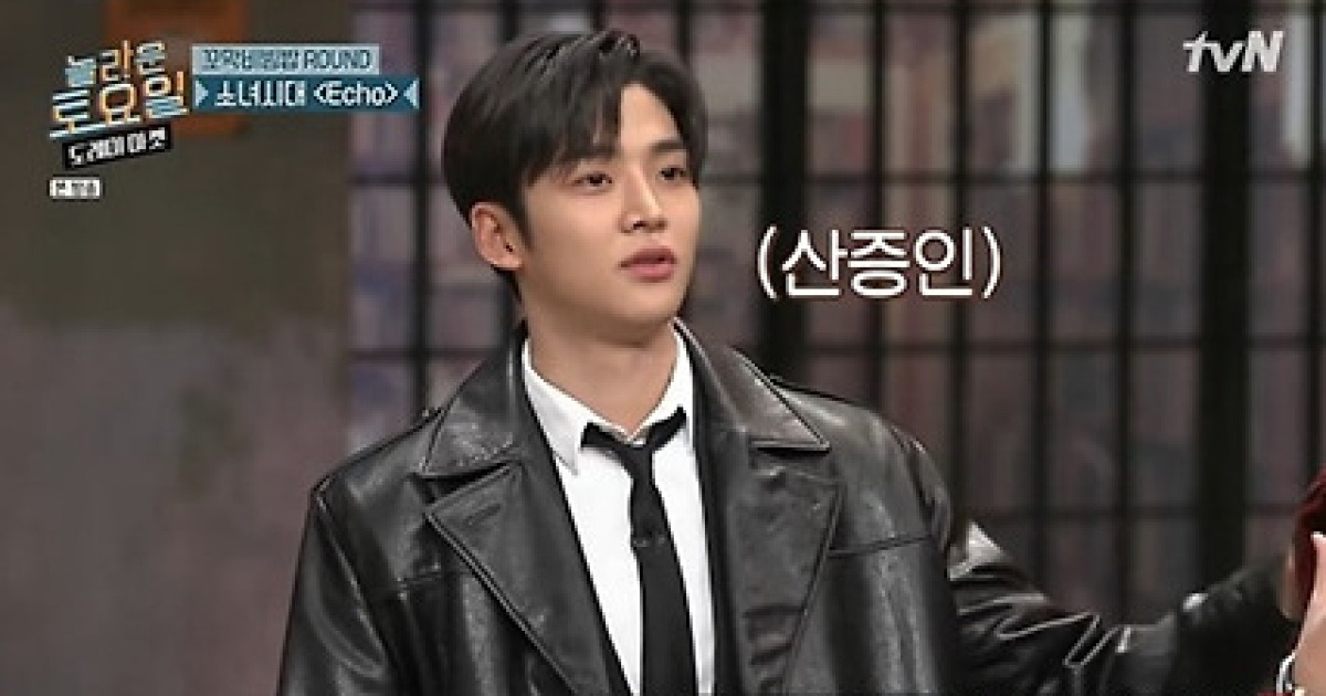 '놀토' SF9 로운, 하키 '풍선개'·소녀시대 'echo'..난이도 상 끄덕 無 [★밤TView]