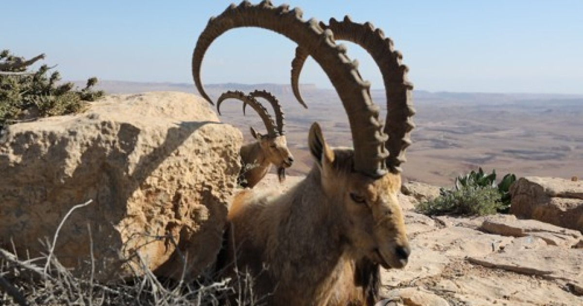 MIDEAST ISRAEL RAMON CRATER