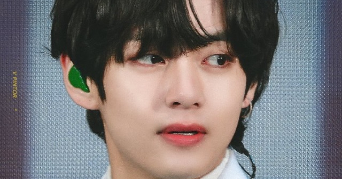 방탄소년단 뷔 화랑이 어울릴 것 같은 스타 1위
