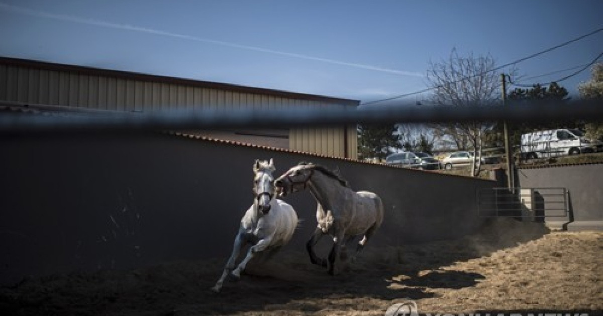 AUSTRIA PHOTO SET PANDEMIC CORONAVIRUS COVID19