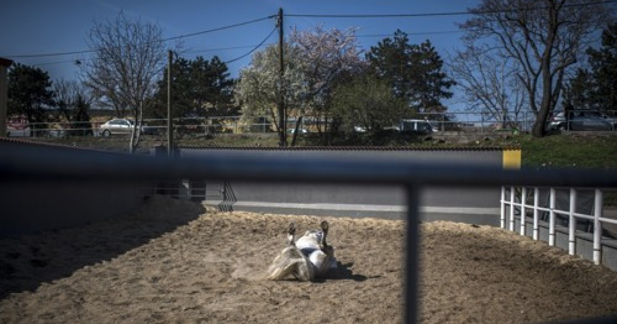 AUSTRIA PHOTO SET PANDEMIC CORONAVIRUS COVID19