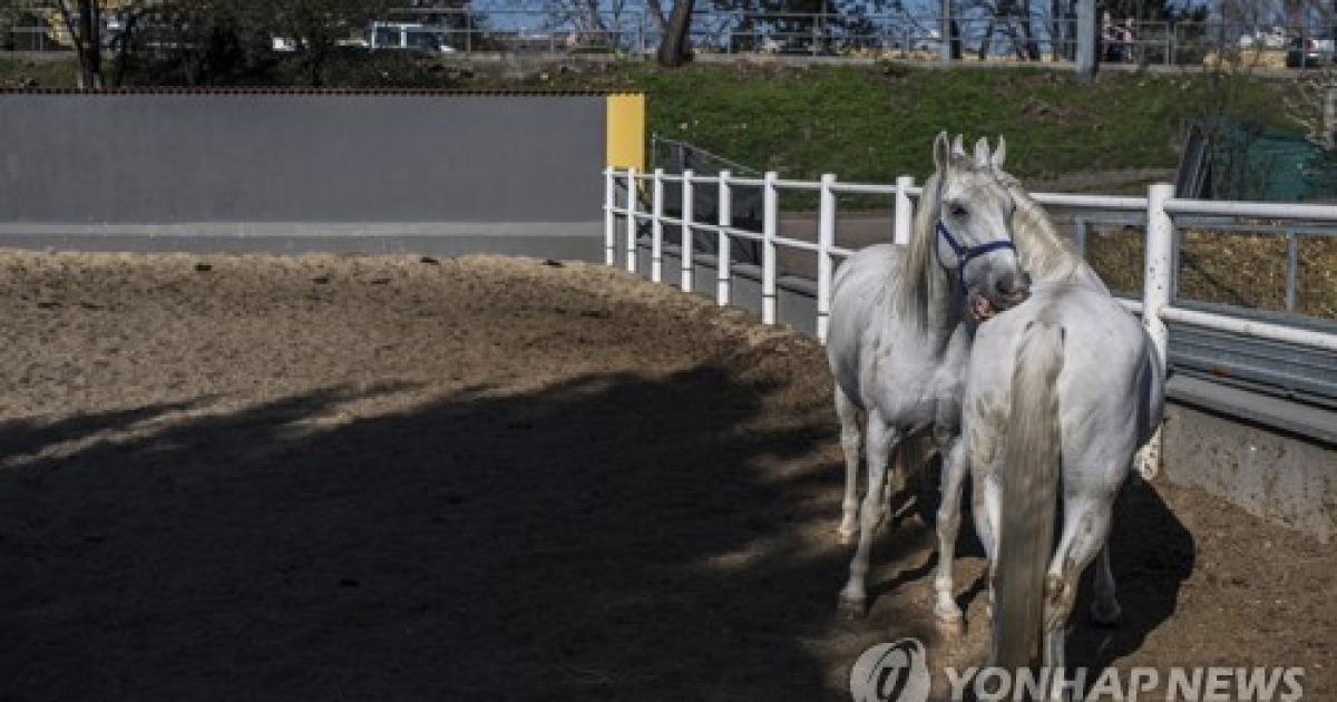 AUSTRIA PHOTO SET PANDEMIC CORONAVIRUS COVID19