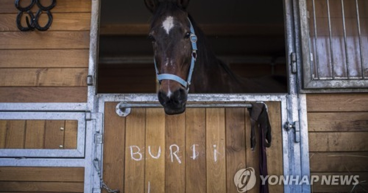 AUSTRIA PHOTO SET PANDEMIC CORONAVIRUS COVID19