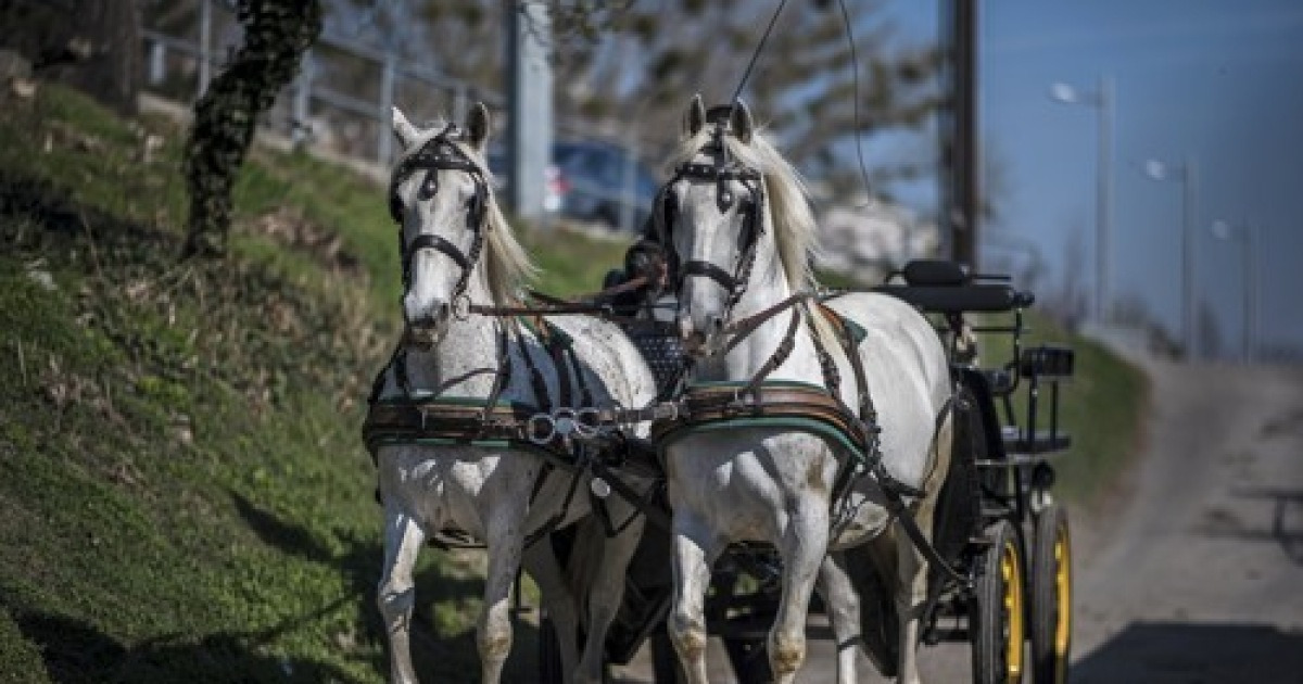 AUSTRIA PHOTO SET PANDEMIC CORONAVIRUS COVID19