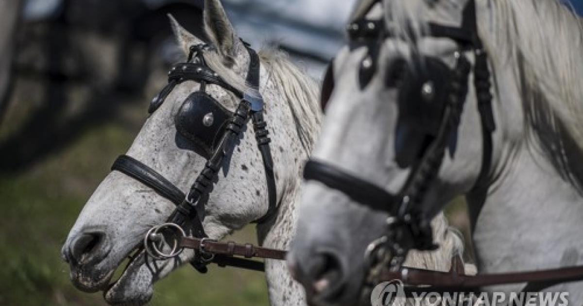 AUSTRIA PHOTO SET PANDEMIC CORONAVIRUS COVID19