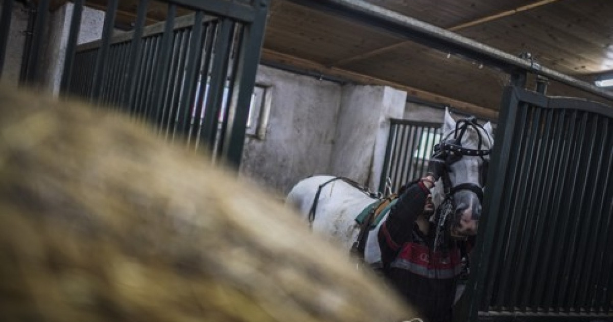 AUSTRIA PHOTO SET PANDEMIC CORONAVIRUS COVID19