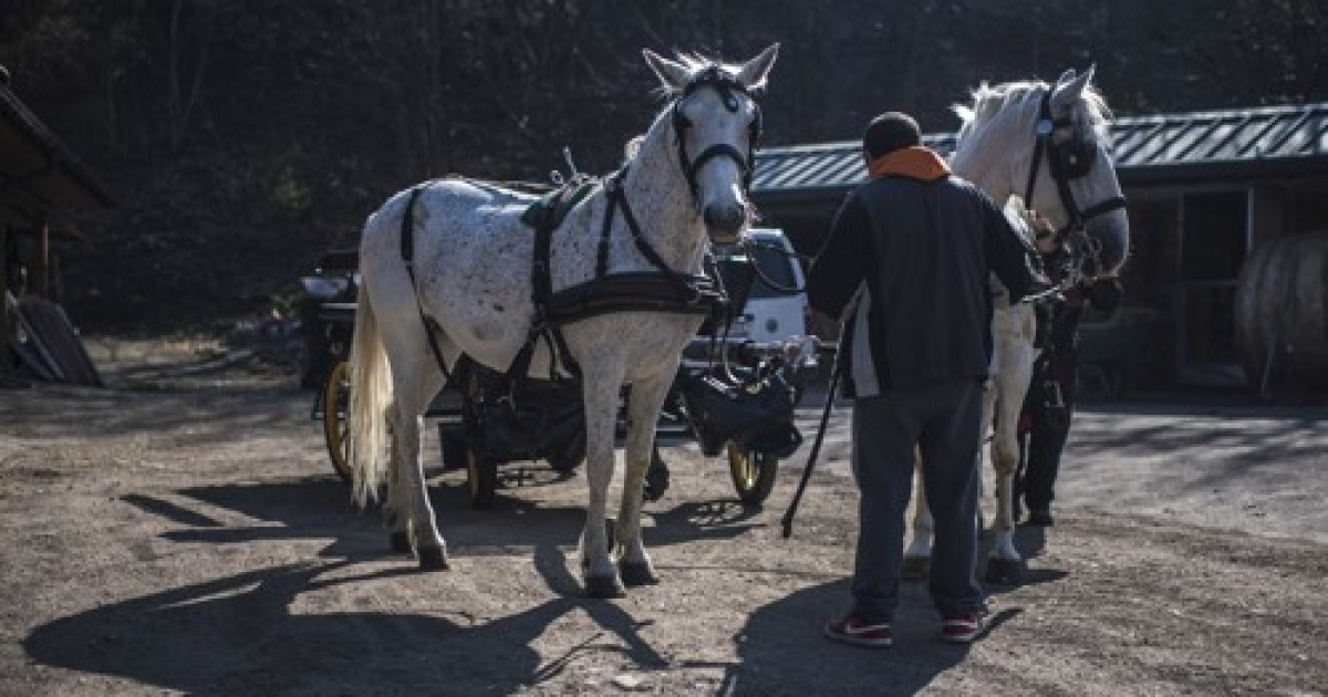 AUSTRIA PHOTO SET PANDEMIC CORONAVIRUS COVID19