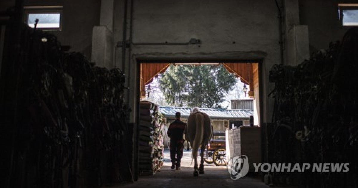 AUSTRIA PHOTO SET PANDEMIC CORONAVIRUS COVID19