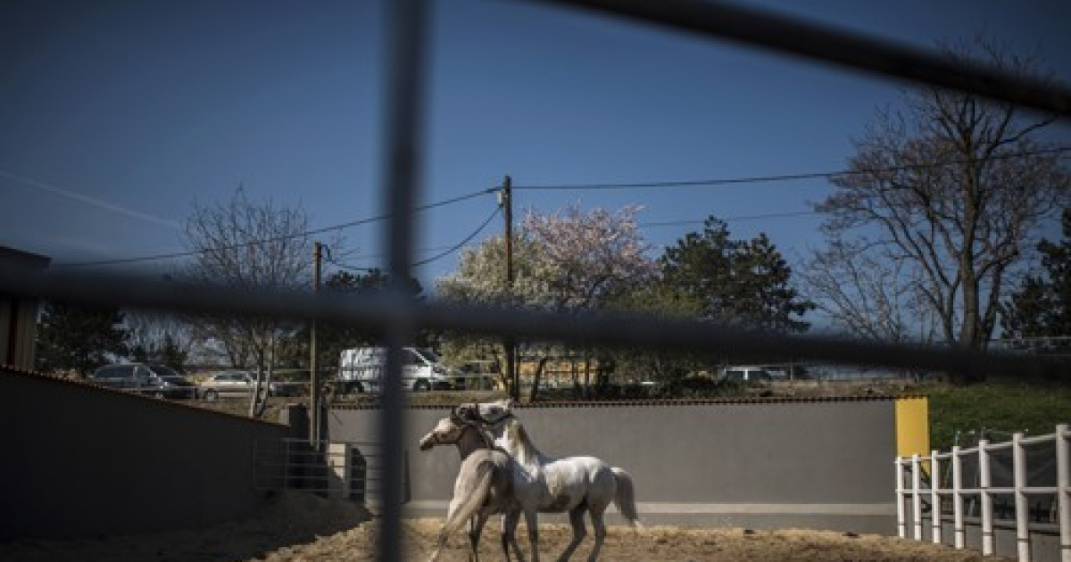 AUSTRIA PHOTO SET PANDEMIC CORONAVIRUS COVID19