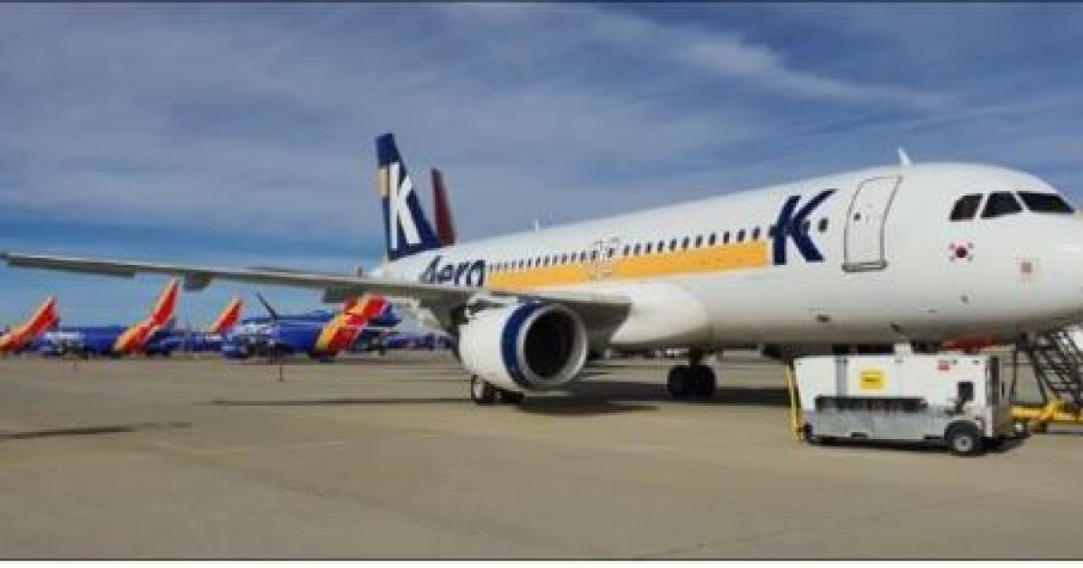 코로나19에 항공업계 고사 직전인데..'경영권 빼앗기'에 자중지란 겪는 신규 LCC