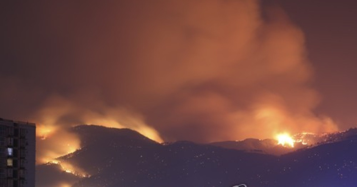 China Forest Fire Deaths