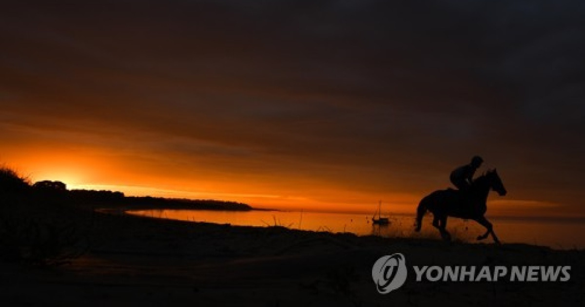 AUSTRALIA HORSE RACING BALNARRING TRACKWORK