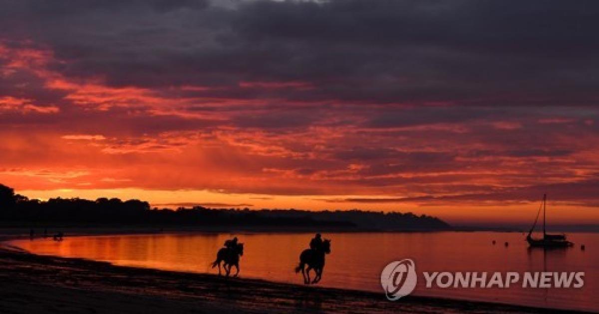 AUSTRALIA HORSE RACING BALNARRING TRACKWORK