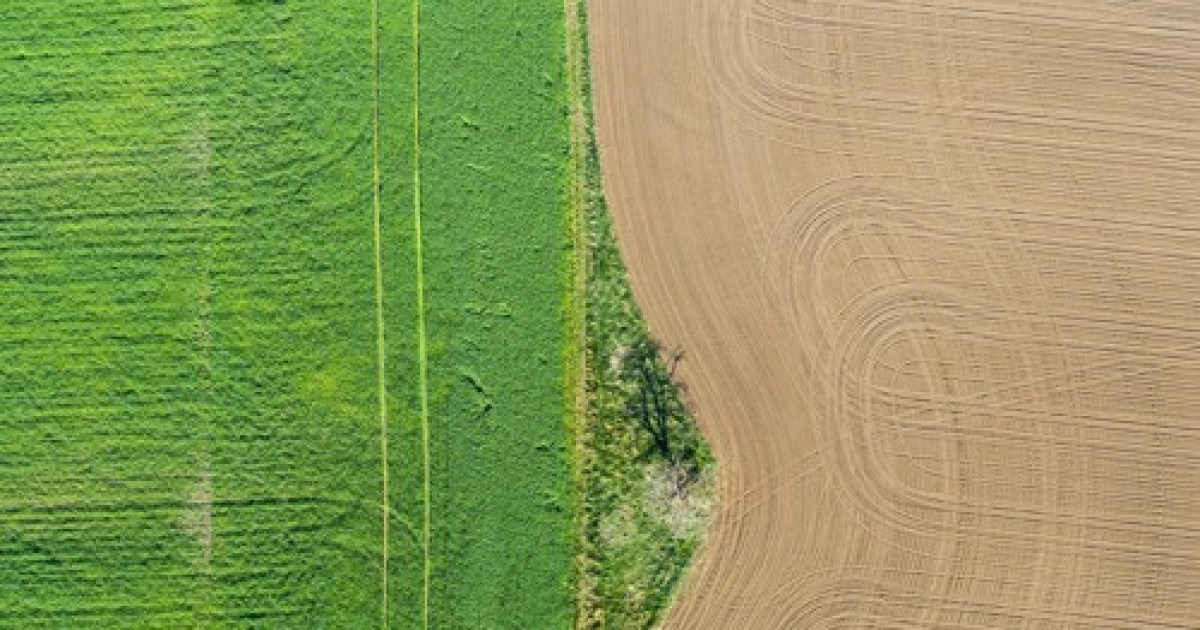 HUNGARY PHOTO SET ENVIRONMENT EARTH DAY