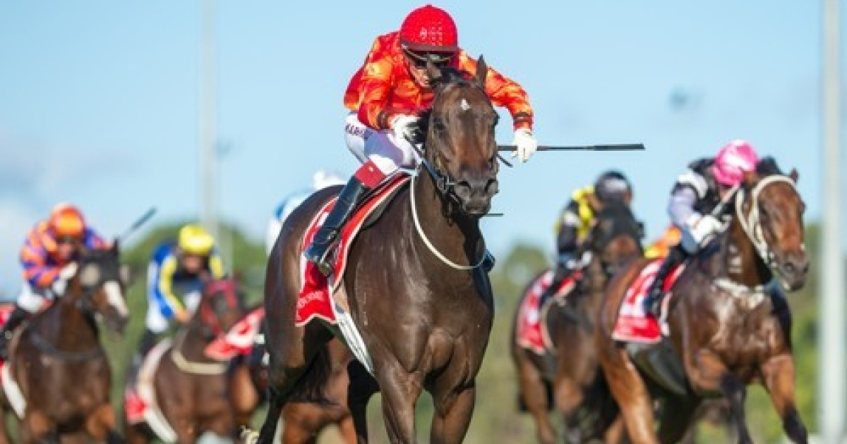 AUSTRALIA AUSTRALIA HORSE RACING