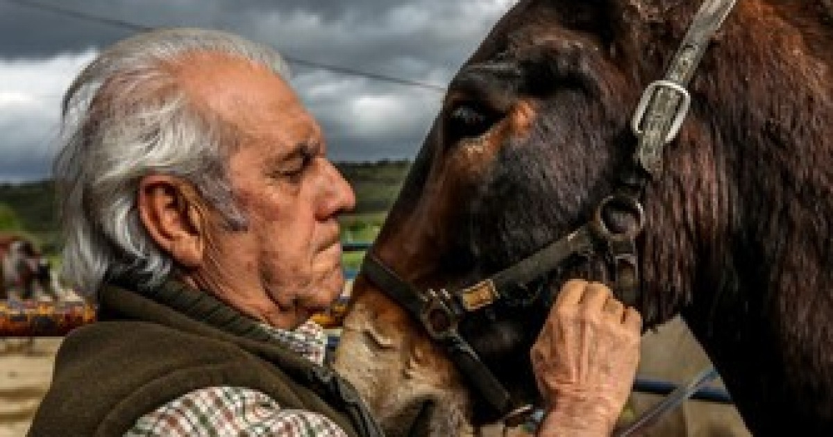 SPAIN PHOTO SET BULLFIGHTING ISIDRO CORONAVIRUS