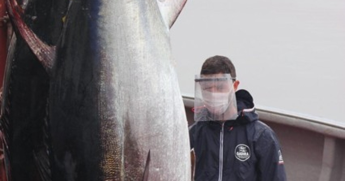 SPAIN TUNA FISHING