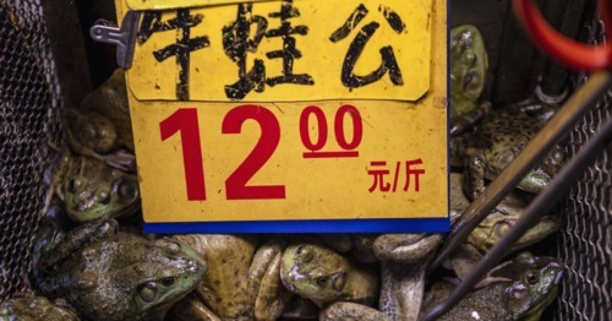 china-photo-set-wet-market-pandemic-coronavirus