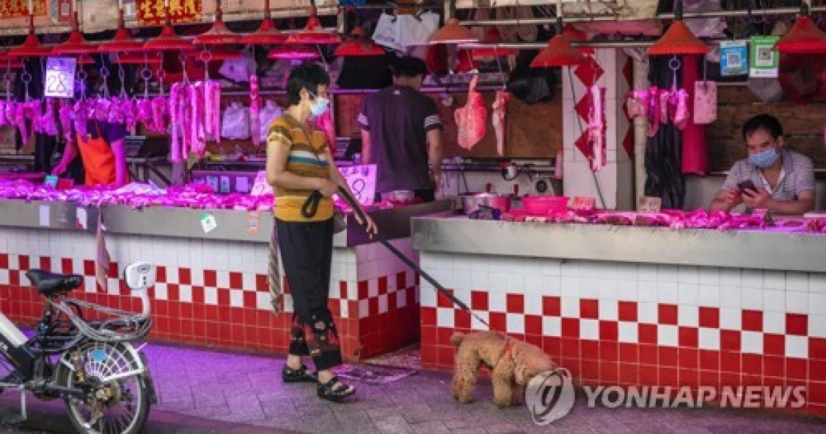 china-photo-set-wet-market-pandemic-coronavirus
