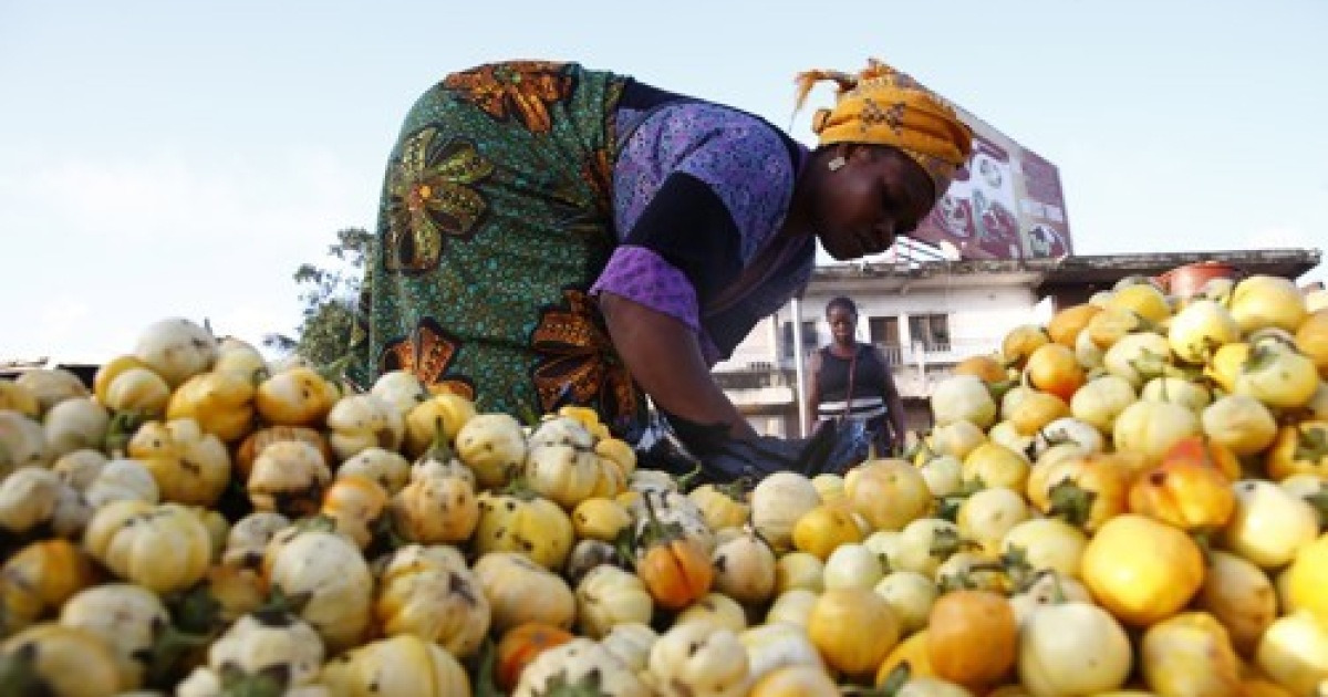 IVORY COAST PANDEMIC CORONAVIRUS COVID19 AGRICULTURE