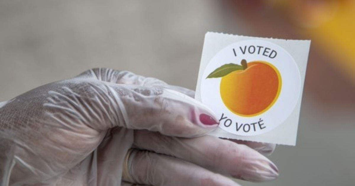Election 2020 Georgia Primary