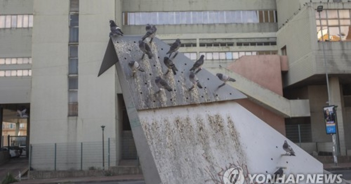 SOUTH AFRICA ANIMALS PIGEON SQUARE