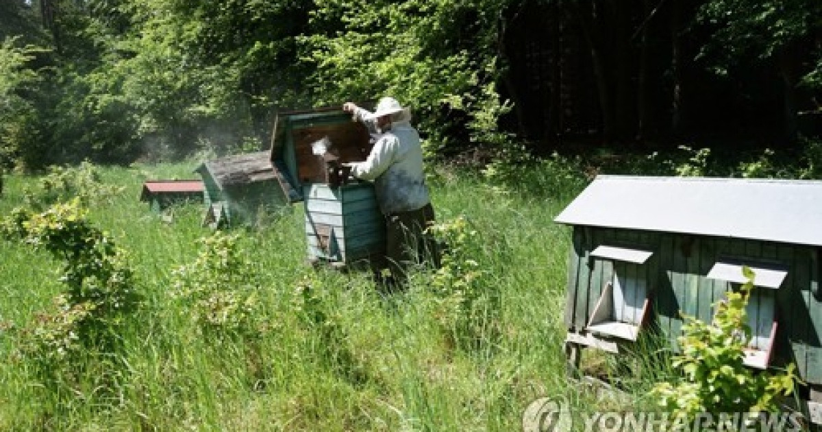 POLAND WORLD BEE DAY
