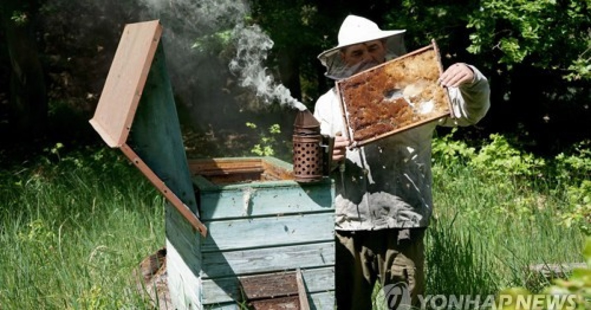 POLAND WORLD BEE DAY