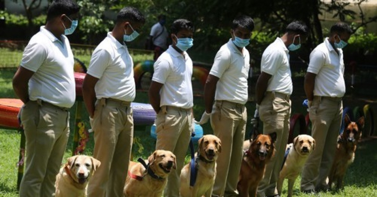 INDIA POLICE ANIMALS