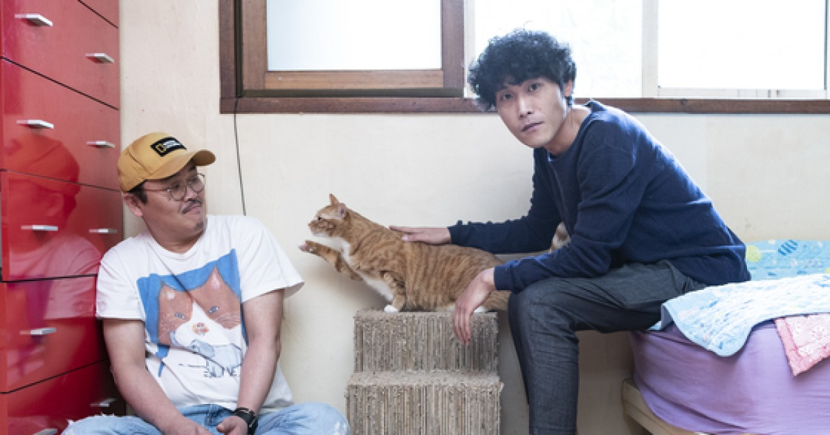 "Our Cats" explores creating purrfect harmony between felines and humans