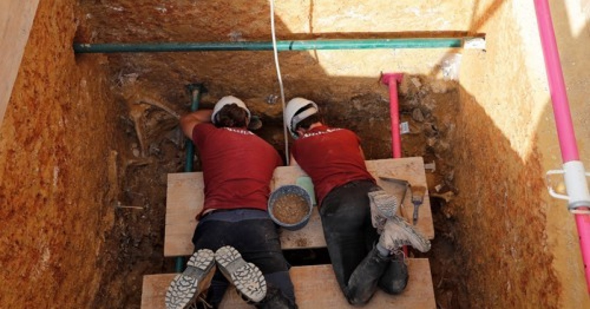SPAIN ARCHEOLOGY EXHUMATION MASS GRAVE FRANCO EXECUTIONS PATERNA
