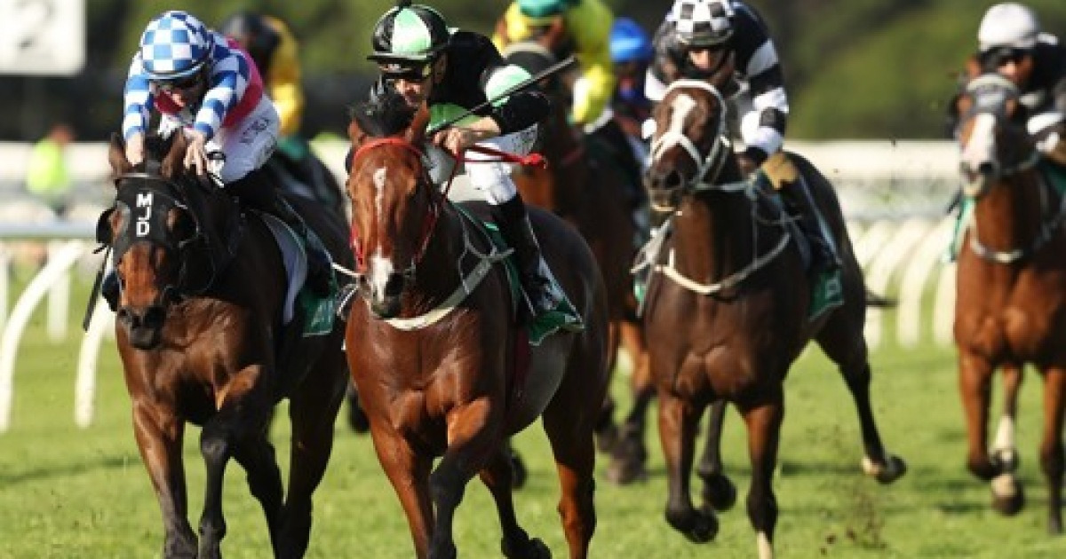 AUSTRALIA HORSE RACING