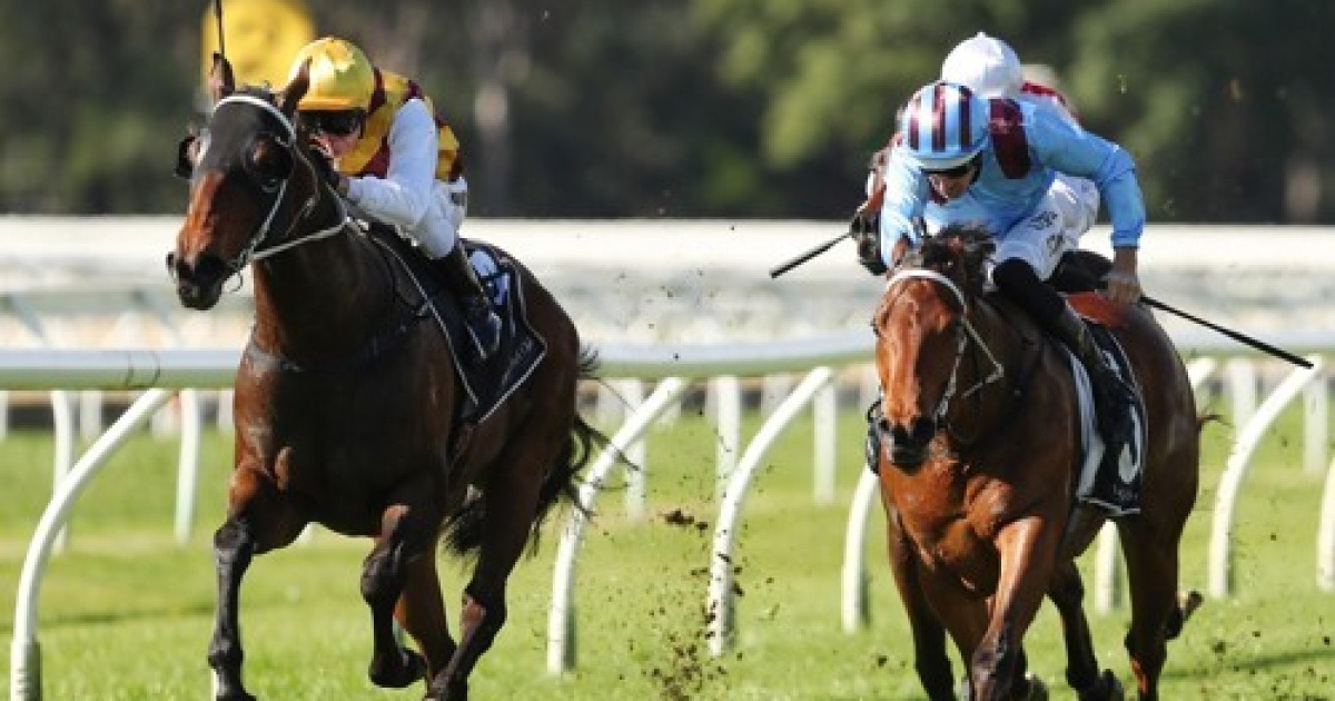 AUSTRALIA HORSE RACING